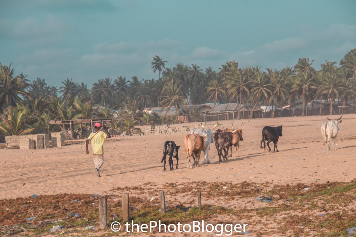 'We Are on Our Own' - Amazing Documentary of Ibeshe, Lagos State ...